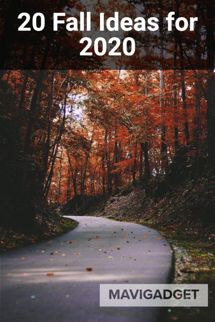 20 Fall Ideas for 2020 | Mavigadget