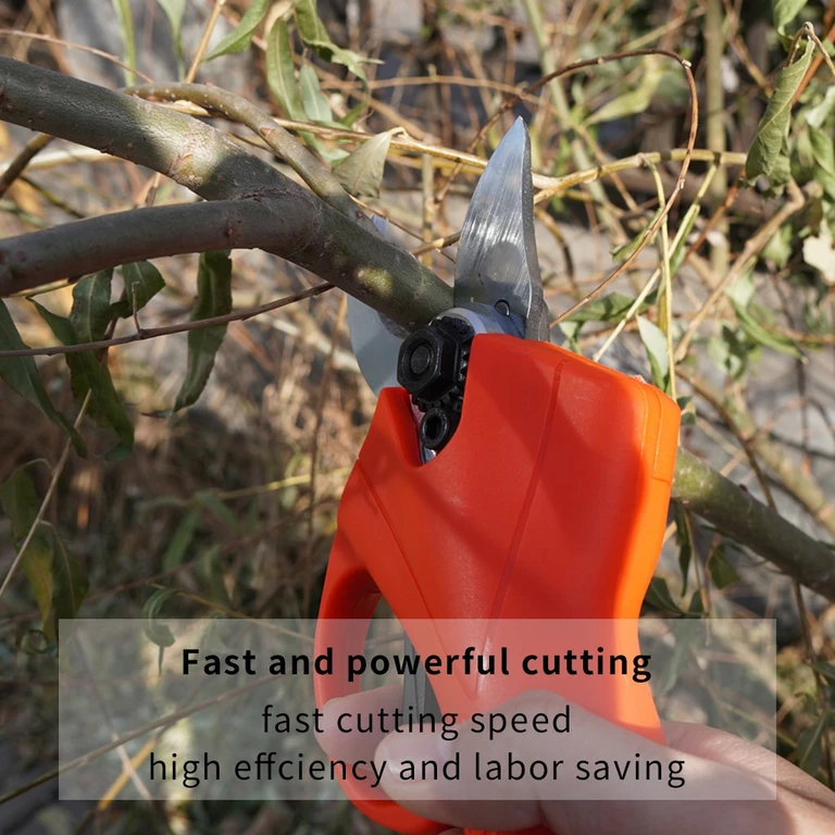 11 Best Gardening Tools: The Tools You Need To Make Your Gardening ...