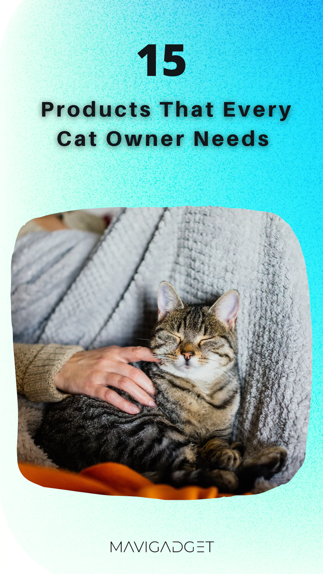 15 Products That Every Cat Owner Needs | Mavigadget