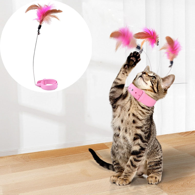Pet Care Innovations: The Best Smart Gadgets for Your Furry Friends ...