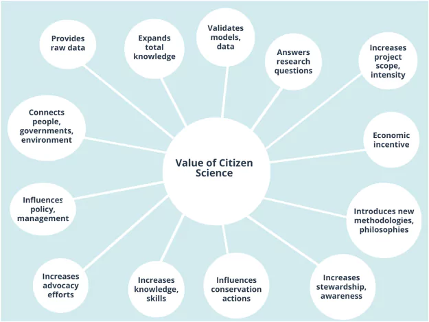 The Rise of Citizen Science: How Everyday People are Contributing to ...