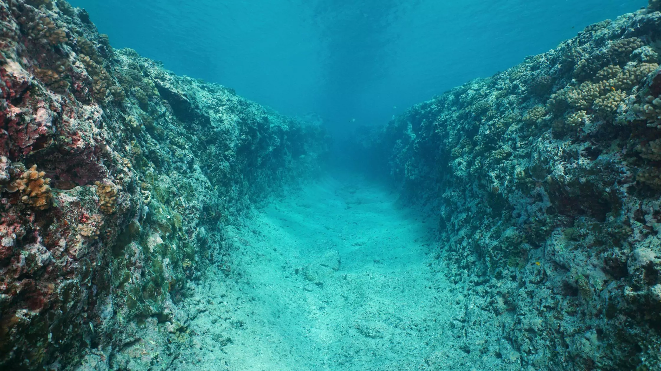 Ocean Pressure: Uncovering the Mysteries of the Deep | Mavigadget