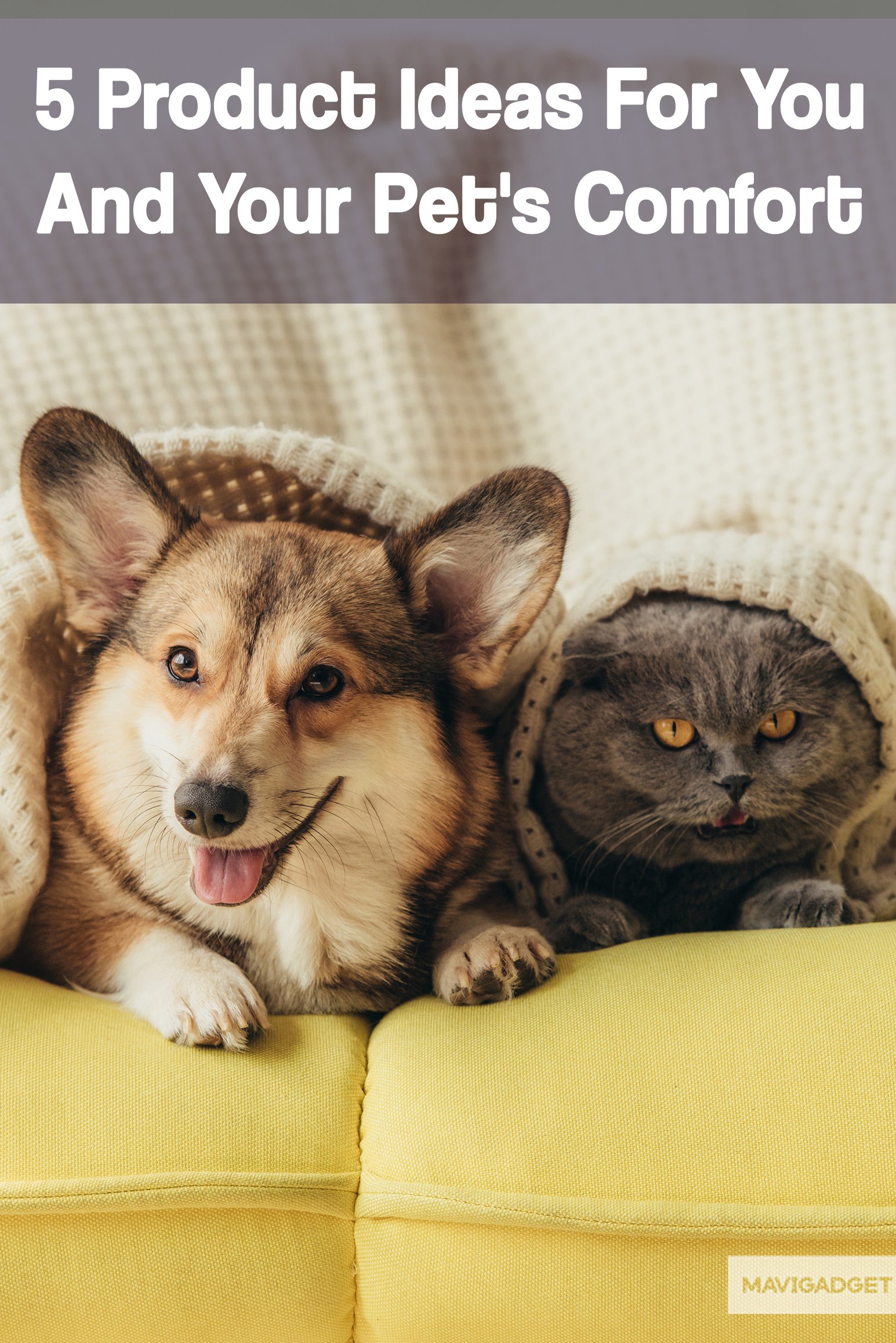5 Product Ideas For You And Your Pet’s Comfort | Mavigadget - Blog