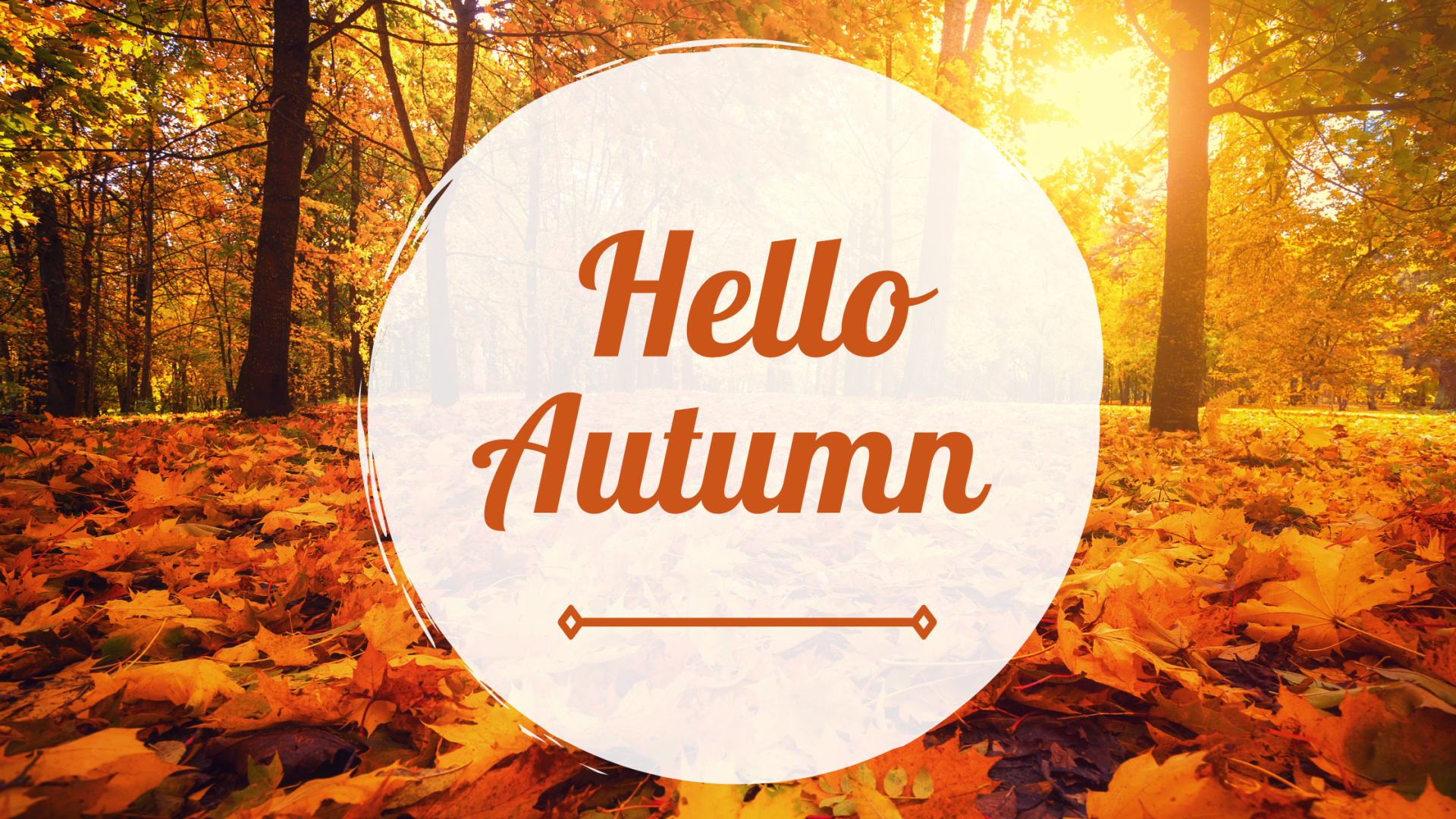 5 Perfect Activities To Do In Autumn | Mavigadget - Blog