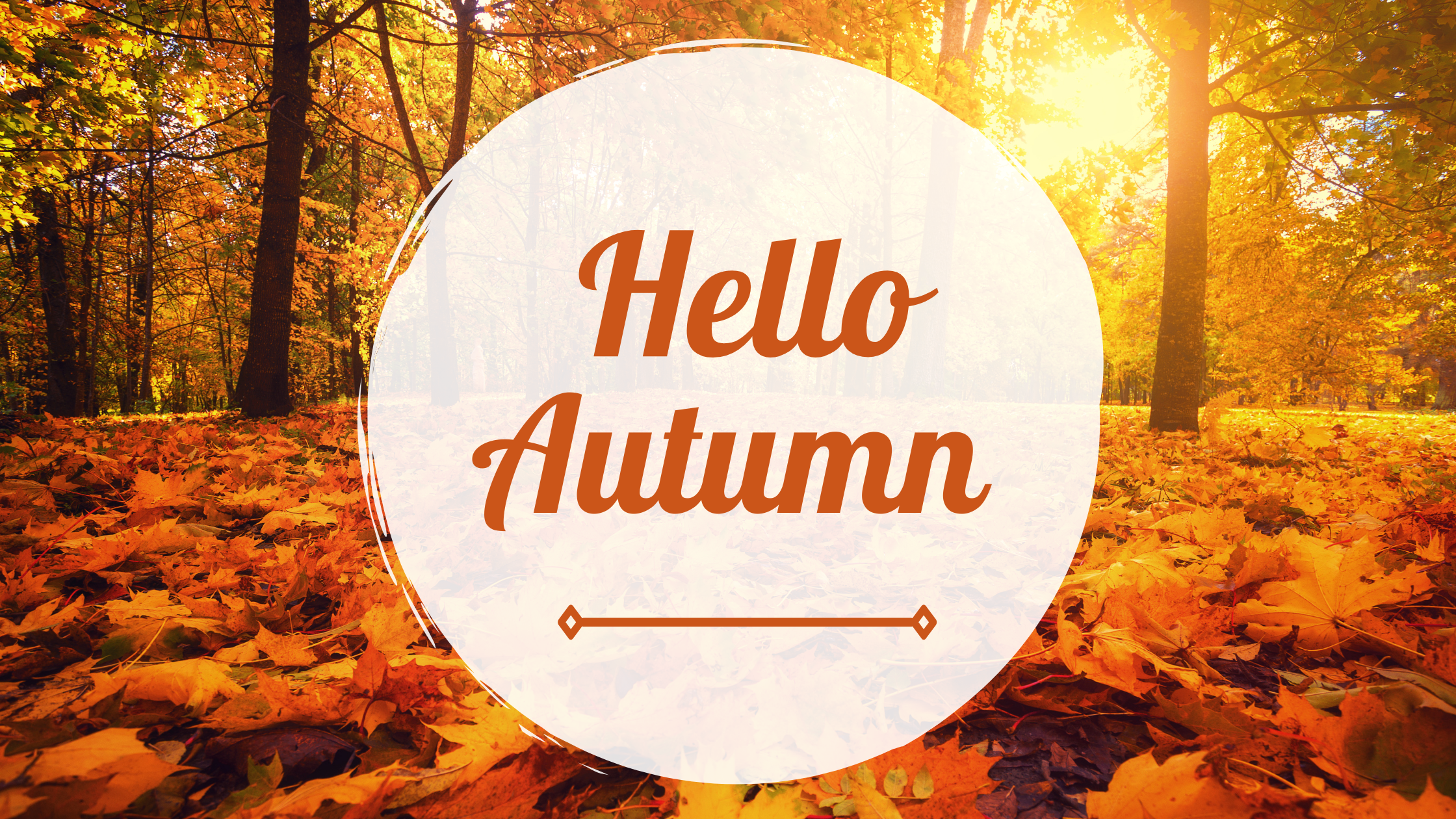 5 Perfect Activities To Do In Autumn | Mavigadget - Blog