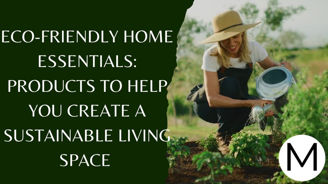 Eco-Friendly Home Essentials: Products to Help You Create a Sustainable ...