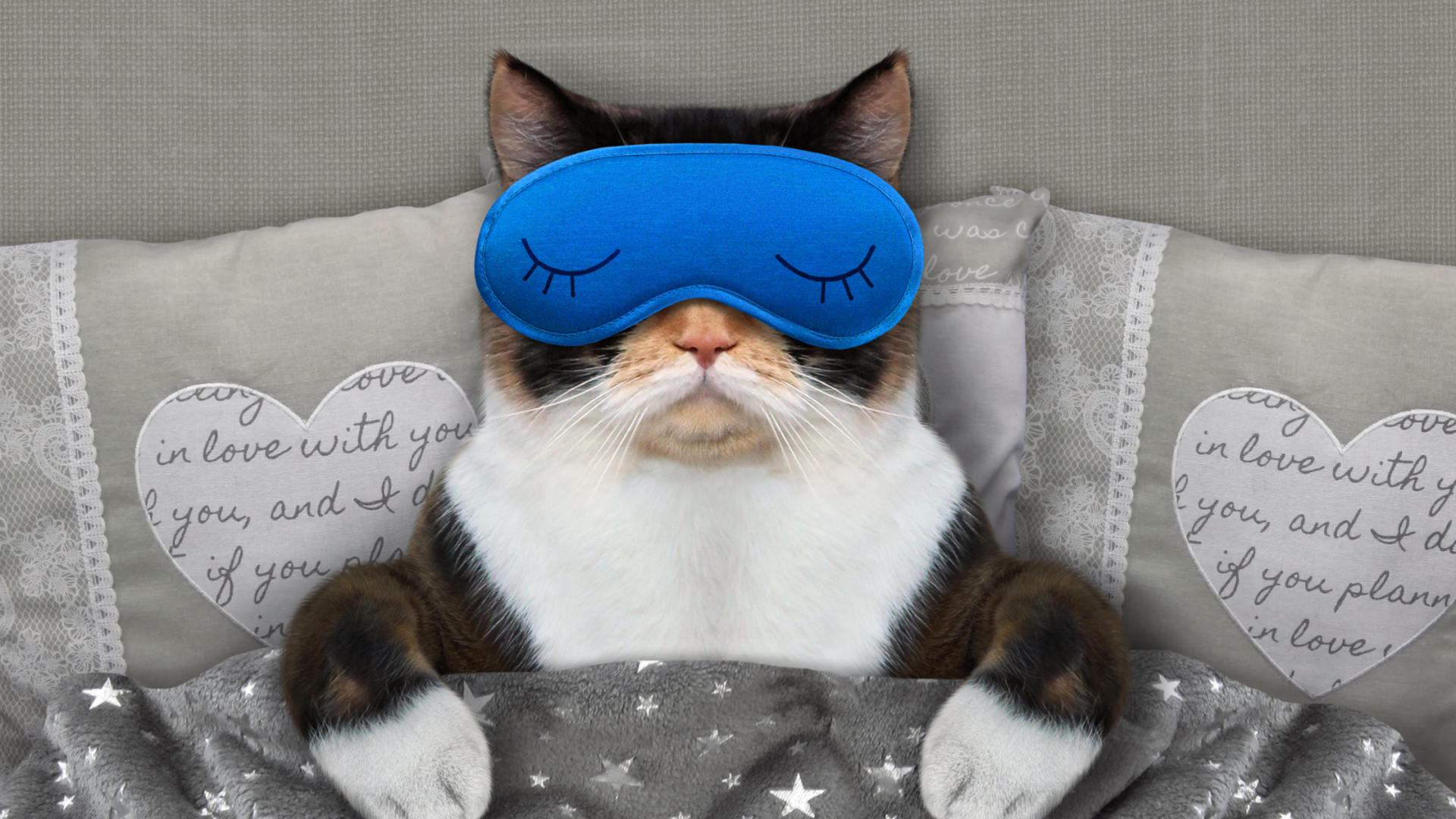 The Science of Sleep: How to Create the Ideal Sleep Environment ...