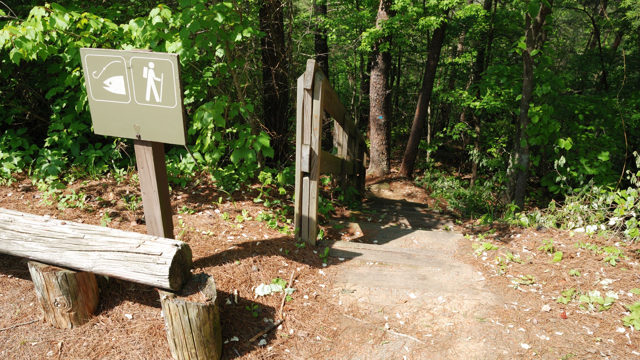 35 Hiking Essentials for Beginners | Mavigadget - Blog