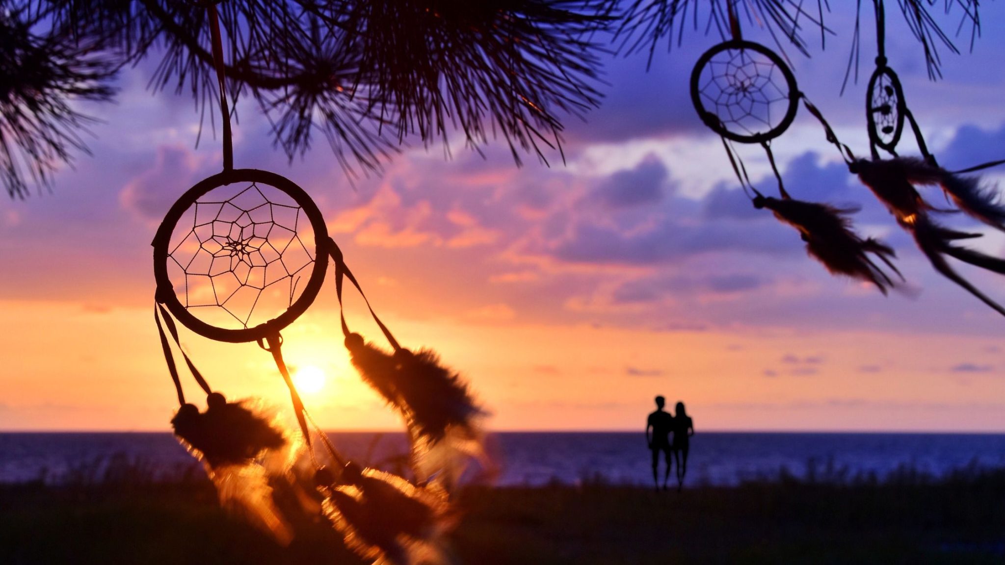 The Science Behind Dreams: What Researchers Have Discovered ...