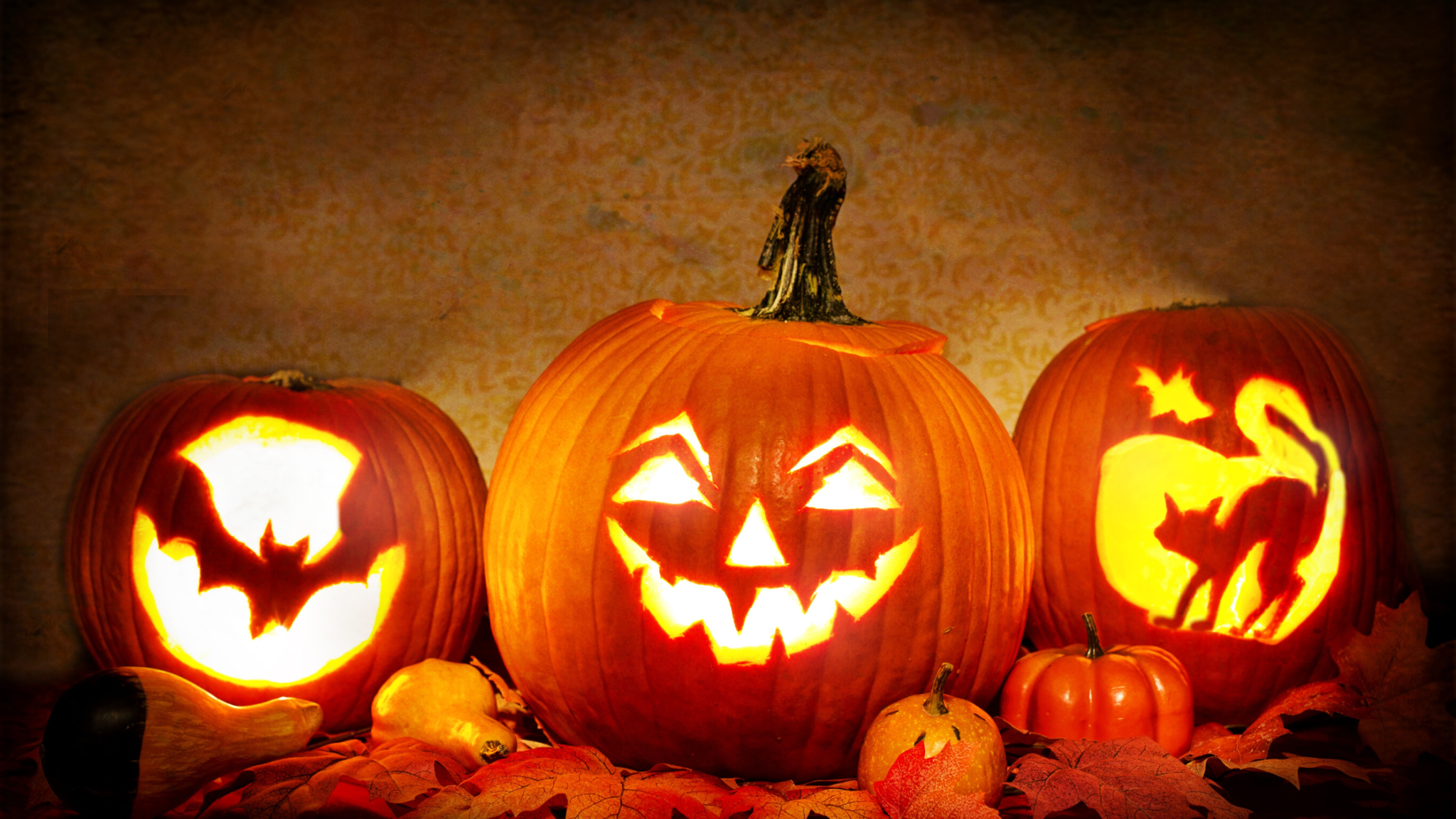 15 Best Halloween Decorations 2022 | Mavigadget - Blog