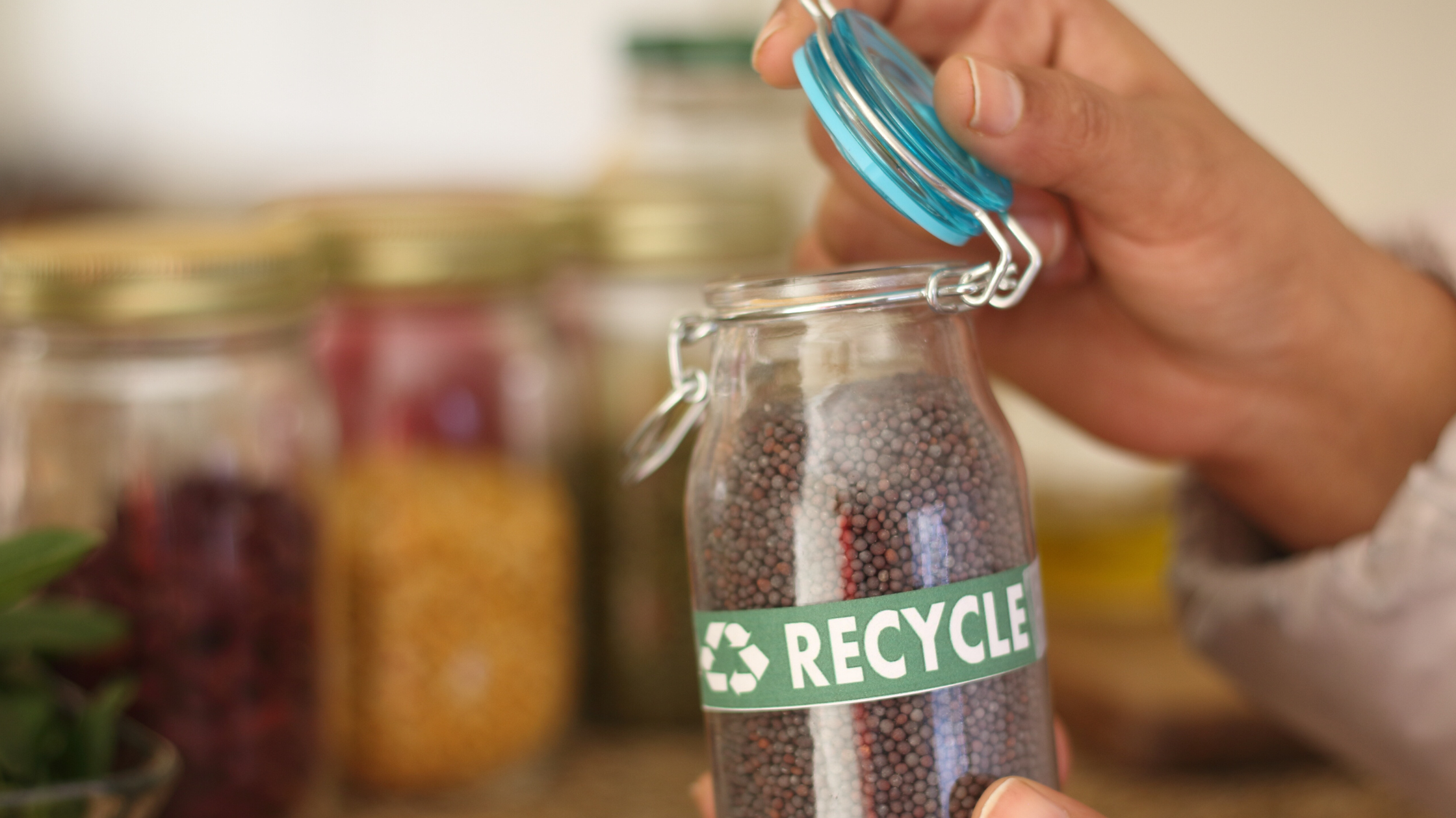 15 Products That Will Help You Live a More Sustainable Life ...