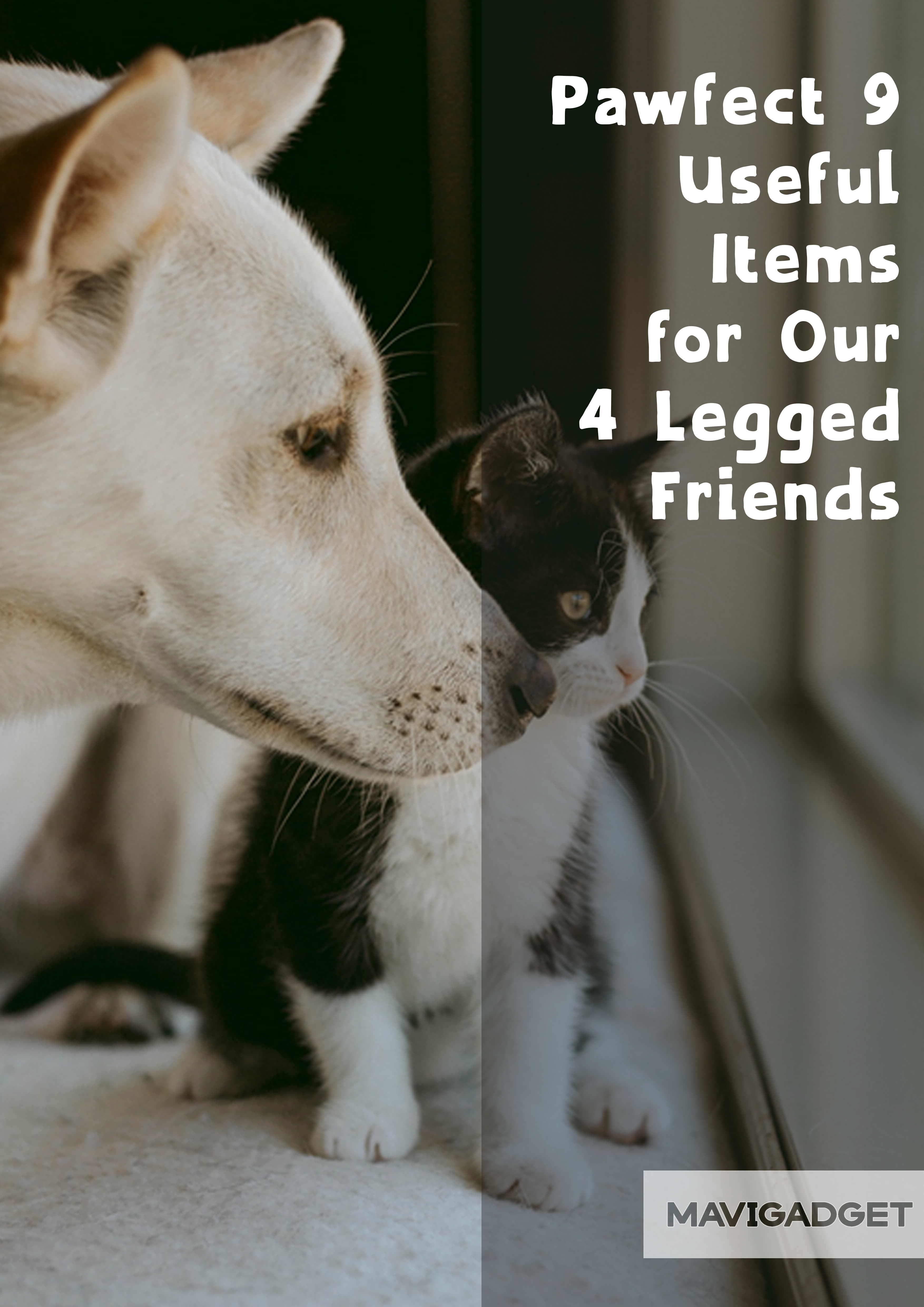 Pawfect 9 Useful Items for Our 4-legged Friends | Mavigadget - Blog