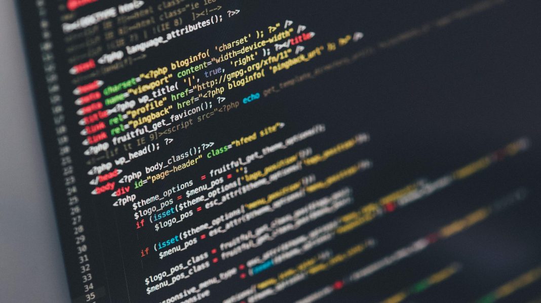 A Beginner’s Guide to Coding: Which Language Should You Choose ...
